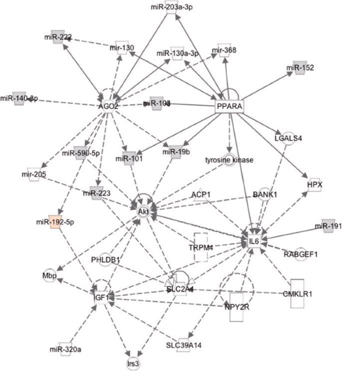 利用差异相关分析检测轻度认知障碍的血浆microRNA生物标志物-文献解析 - 生知库
